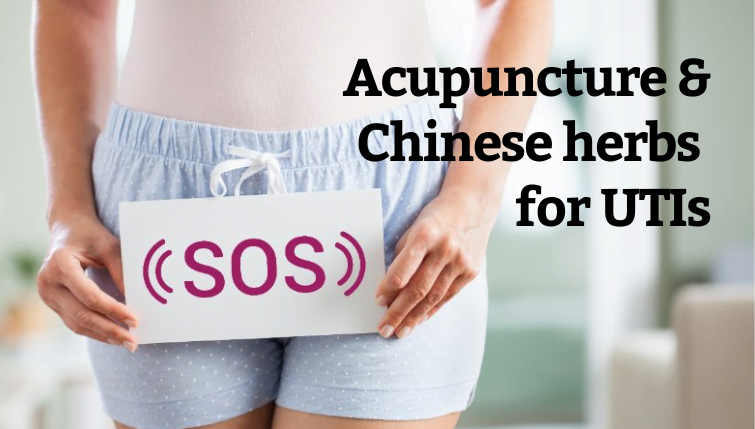 Acupuncture and Chinese herbs for urinary tract infection (UTI) - The Acupuncture Clinic