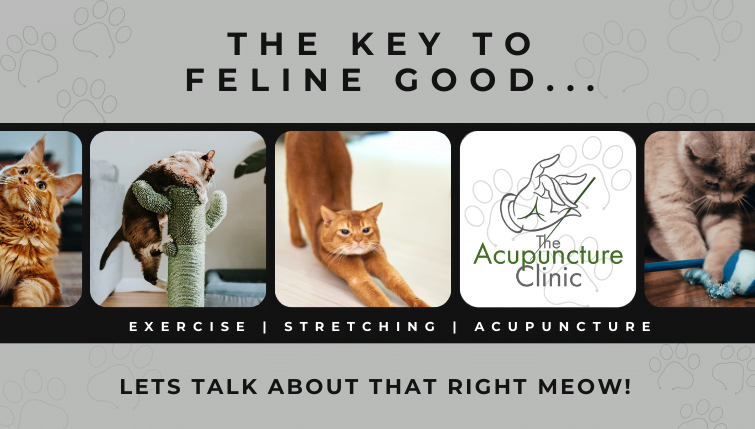 Exercise, stretching and acupuncture - The Acupuncture Clinic