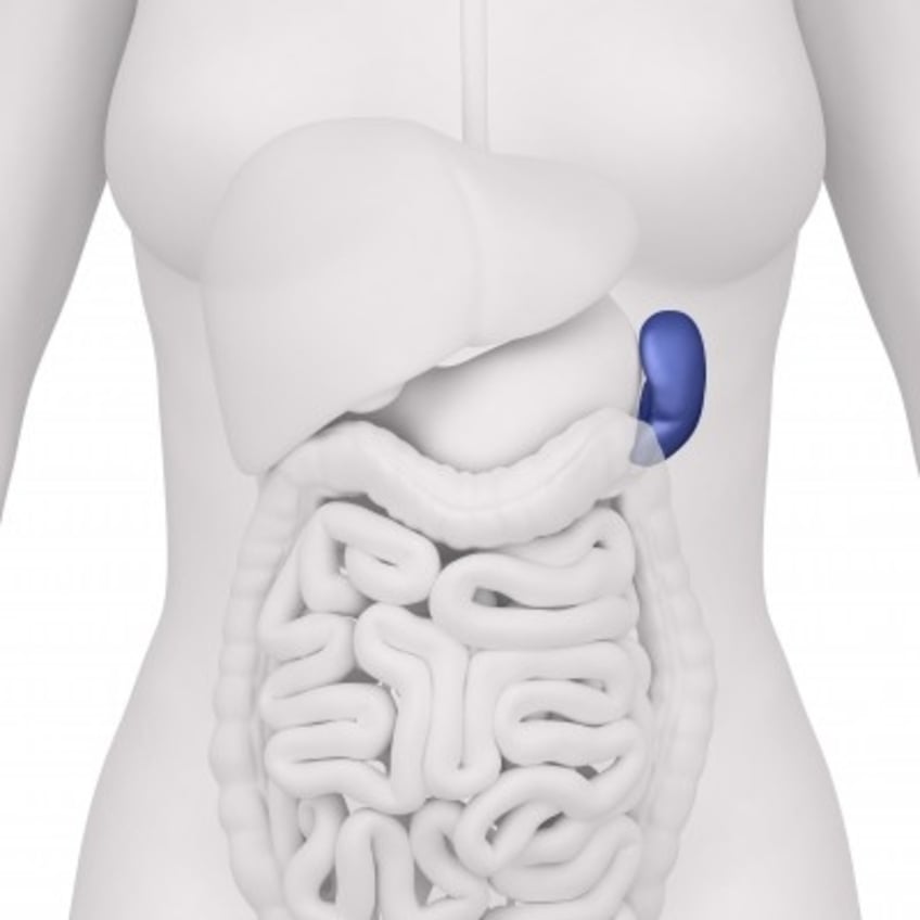 Acupuncture for Spleen Disease - The Acupuncture Clinic