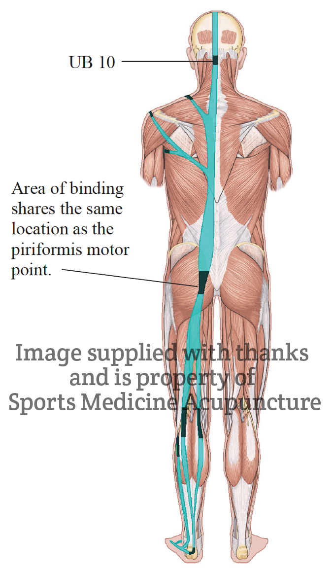 Exercise, stretching and acupuncture - The Acupuncture Clinic