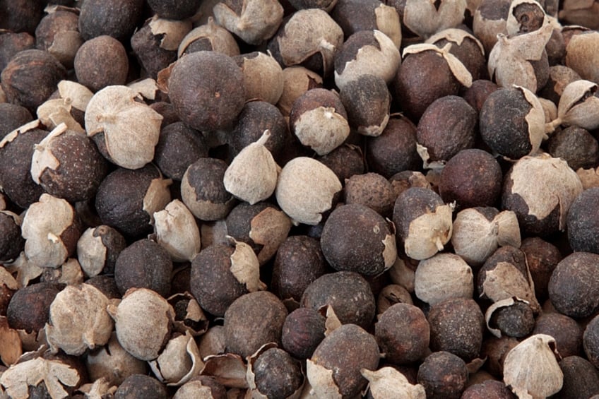 Man Jing Zi – The Tonic - The Acupuncture Clinic