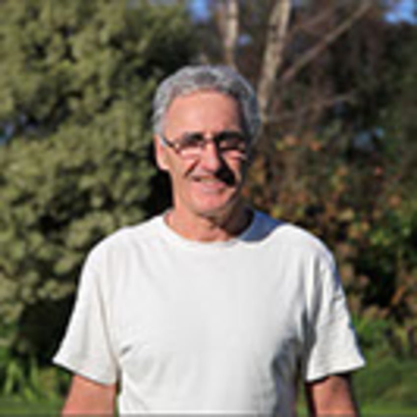 Heiko Lade interviews Michael Goodhue on the benefits of qi gong - The ...